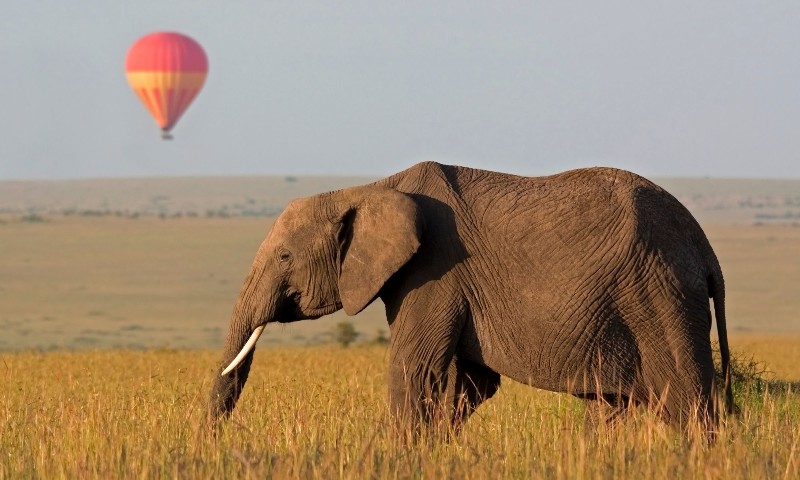 Voyages d'aventure - Sortir des terrains battus